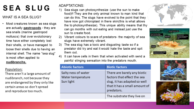 Block 3 explore ecosystems for Ecology project | Bedales School Blog