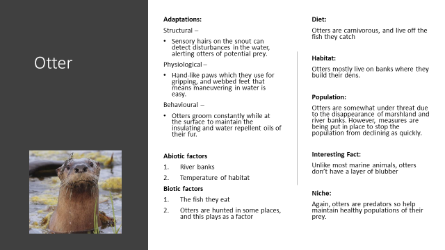 Block 3 explore ecosystems for Ecology project | Bedales School Blog